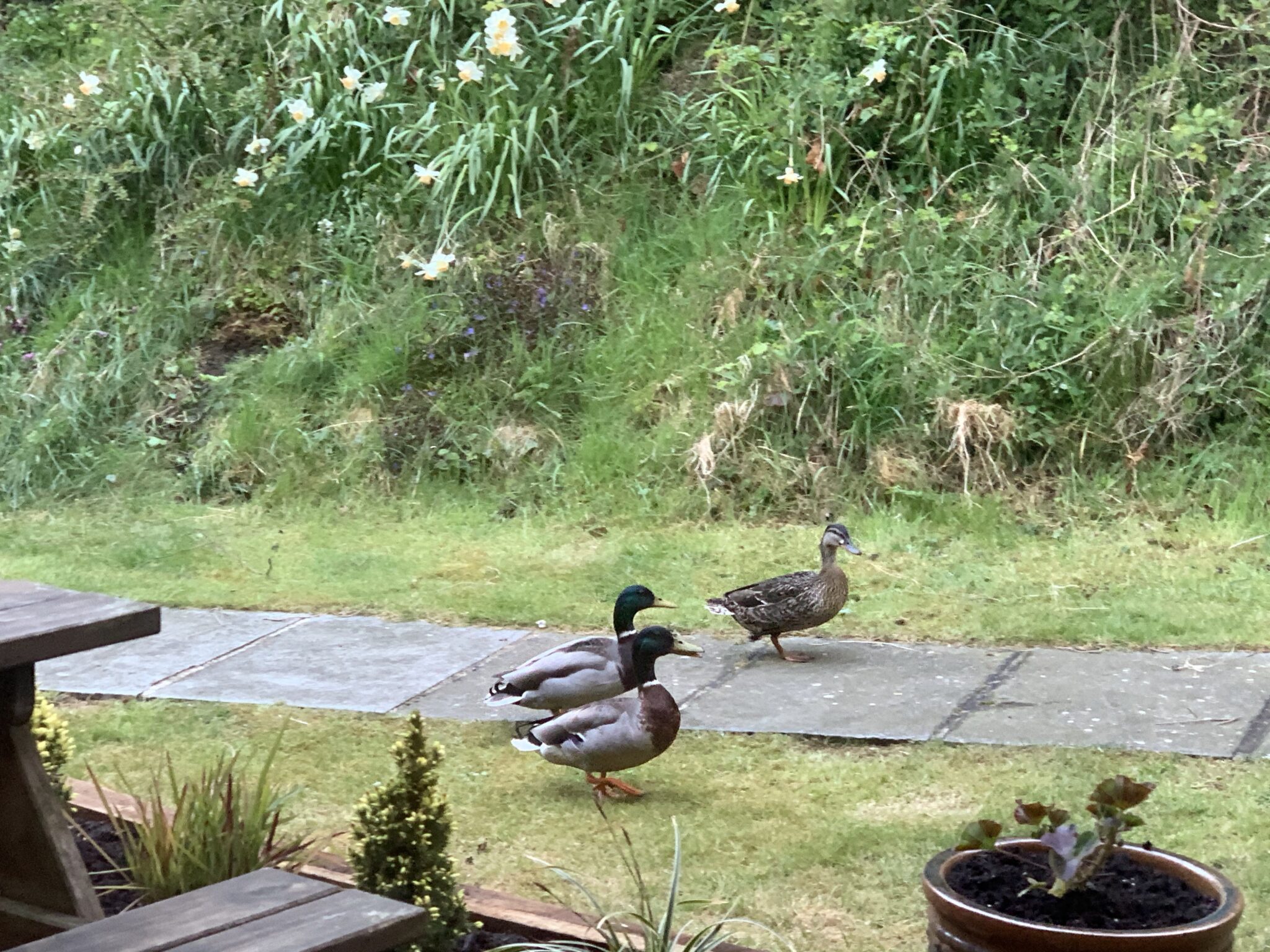Gallery - Holme Cottage Whitby